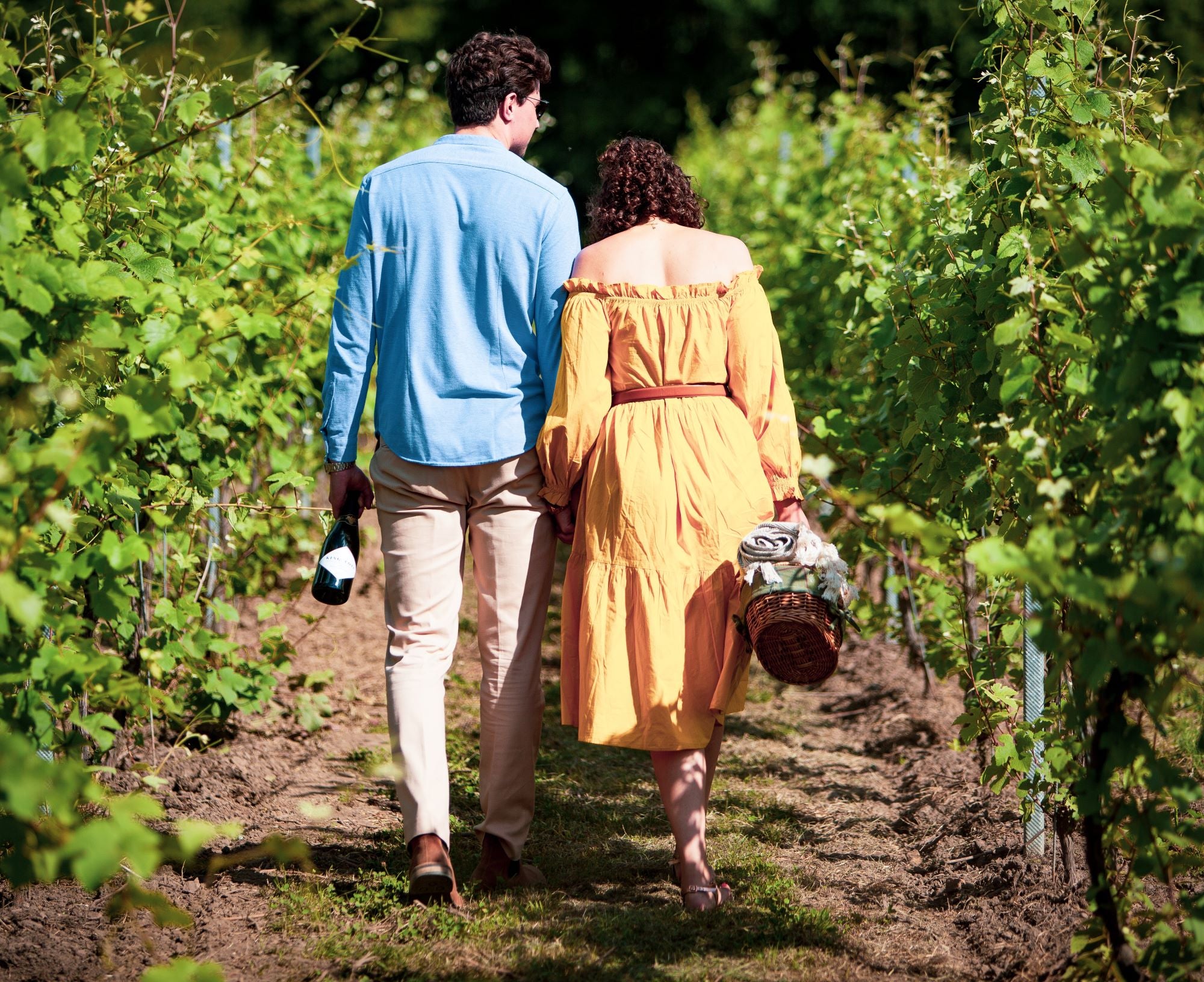 Kingscote Estate & Vineyard — Kingscote Vineyard Limited